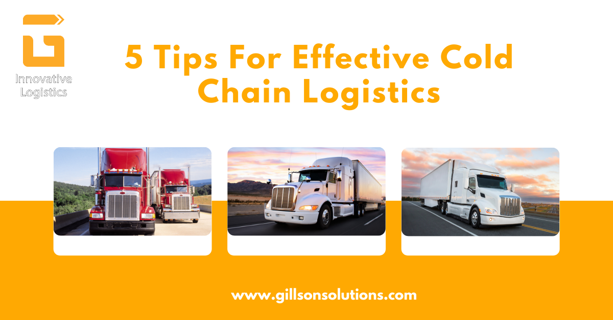 5 Tips For Effective Cold Chain Logistics - Gilson Solutions