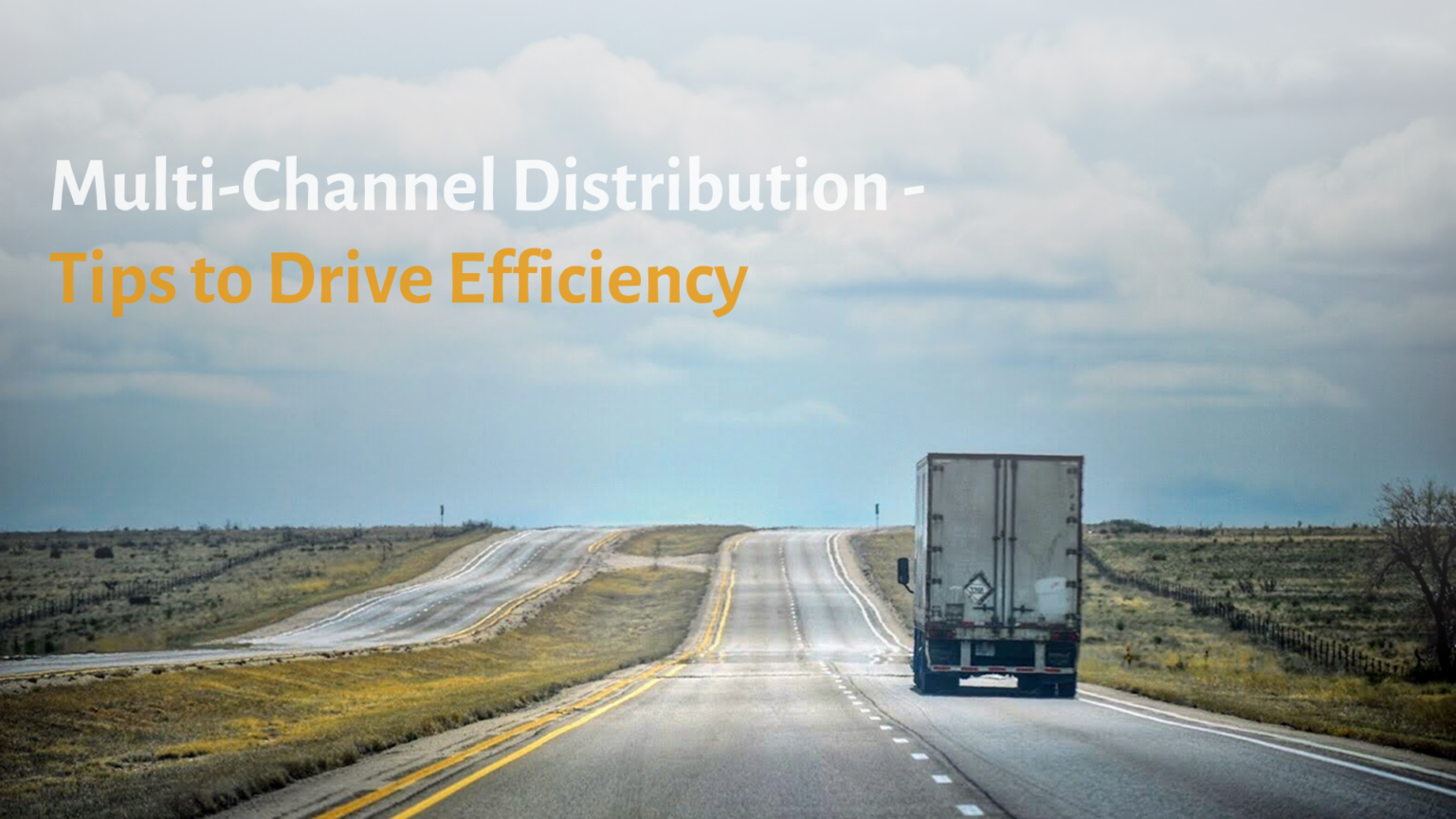 Multi-Channel Distribution - Tips to Drive Efficiency